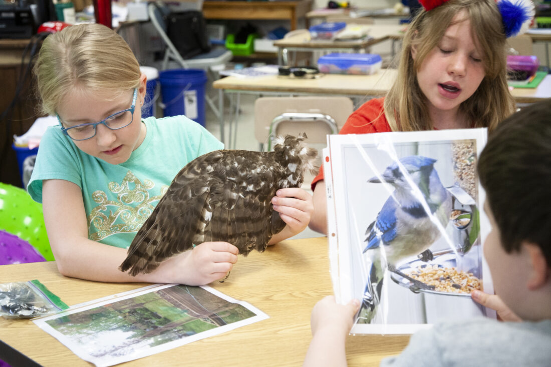 What we can learn from death | News, Sports, Jobs - Observer Today